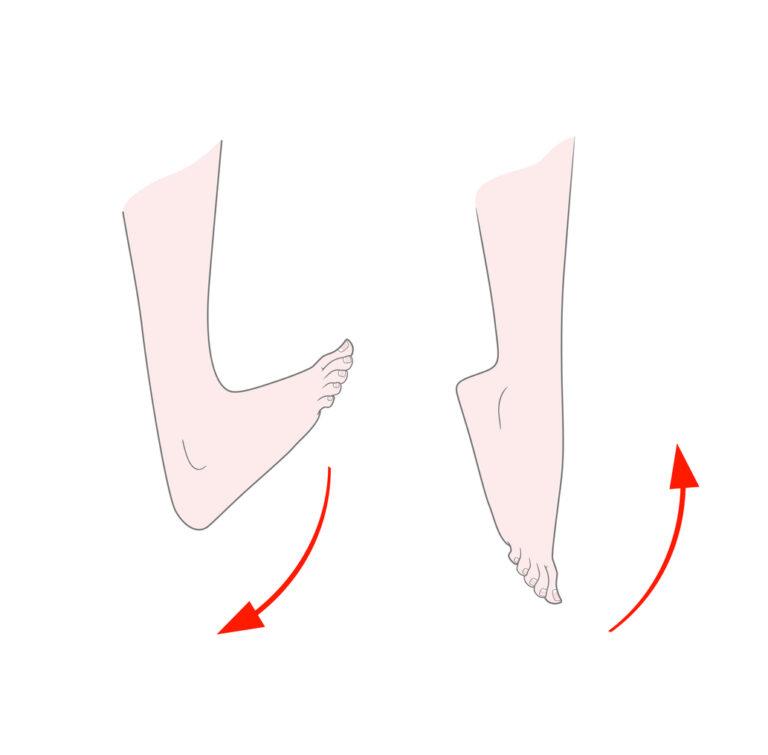 Ankle Stability and Injury Prevention | Motion Orthopaedics
